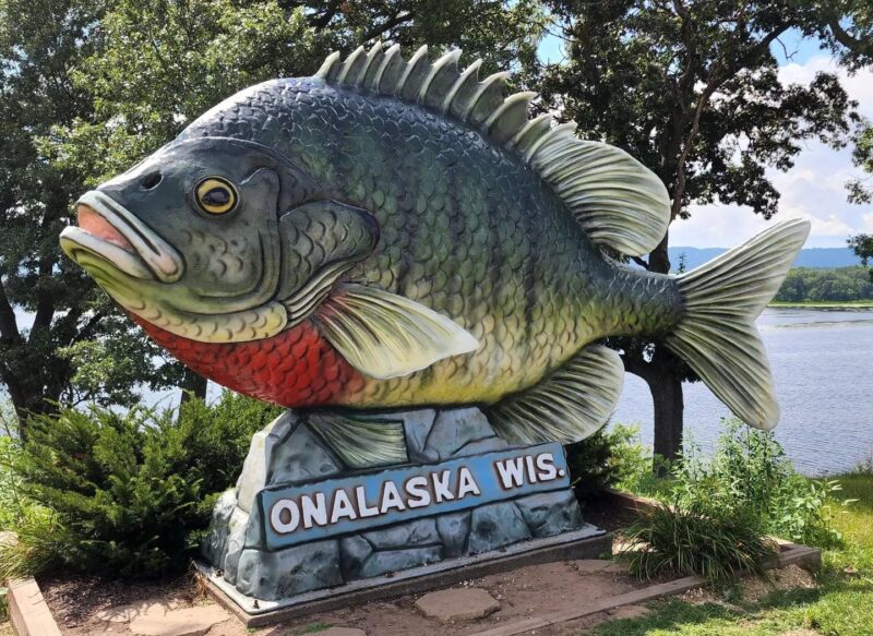Best Photo Spots in the La Crosse Area - Elizabeth Dresen